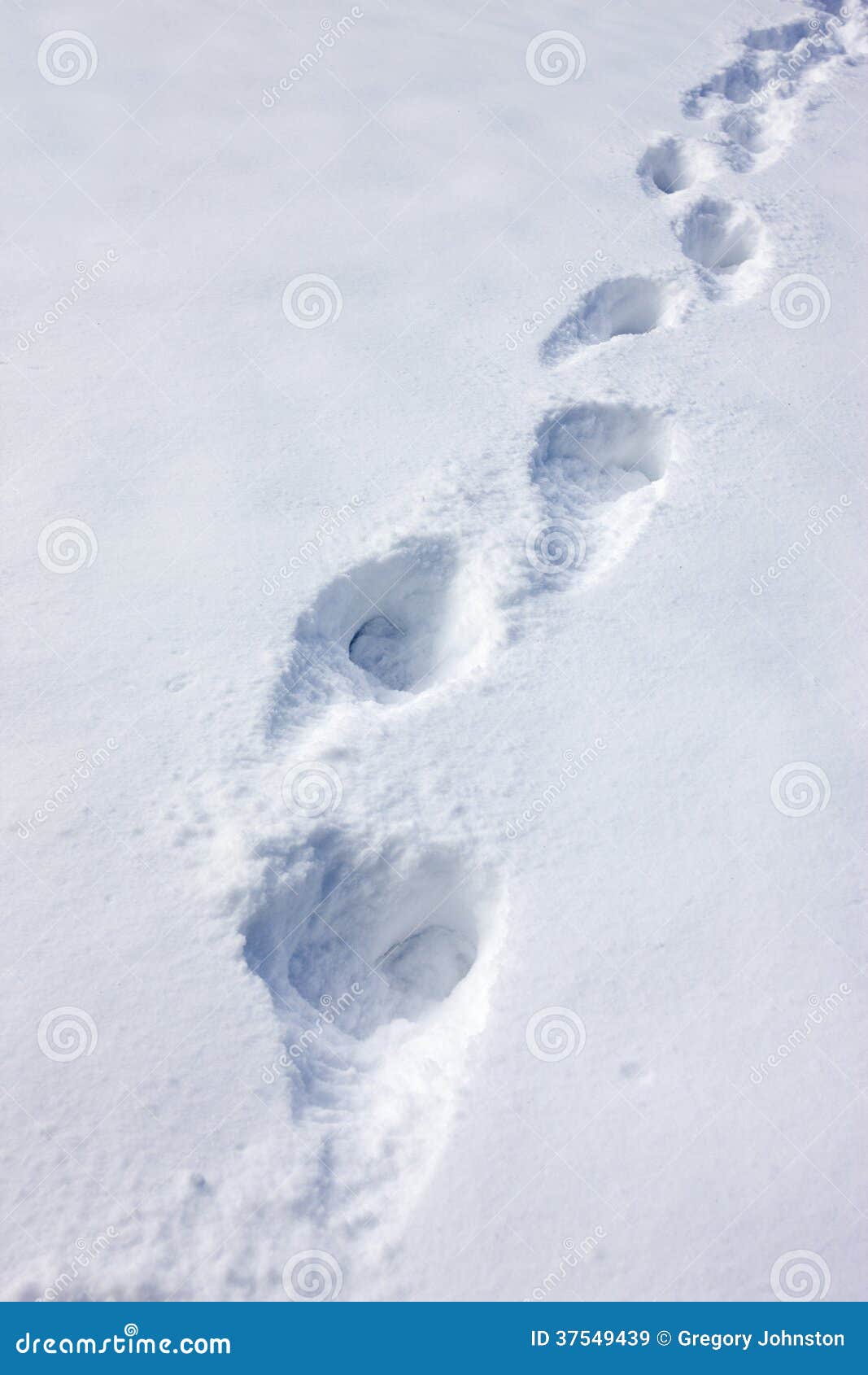 Footsteps in the snow. stock image. Image of footmark - 37549439