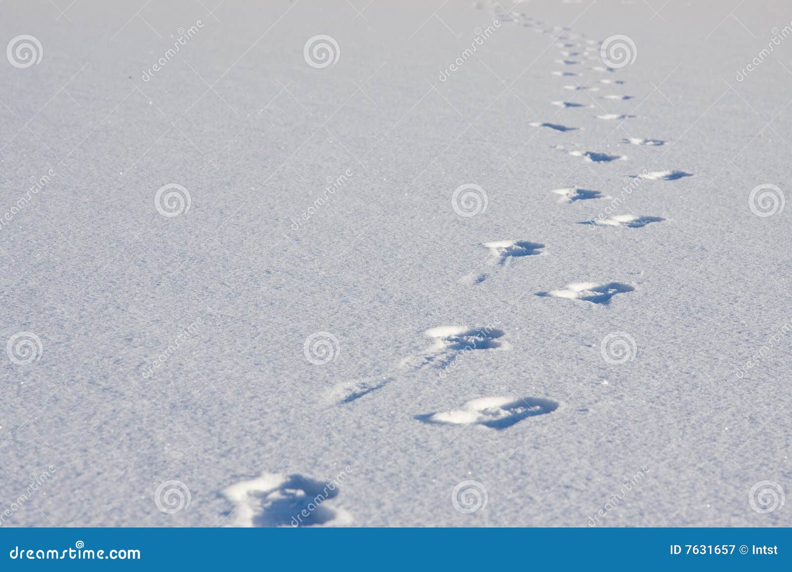 291 Footsteps Forward Stock Photos - Free & Royalty-Free Stock Photos ...