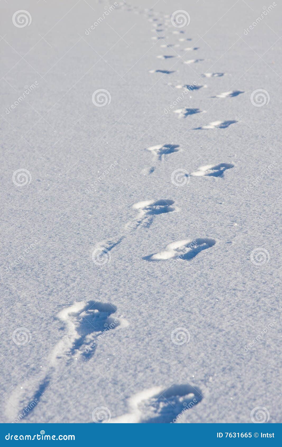 Footsteps in snow stock image. Image of nature, path, pattern - 7631665