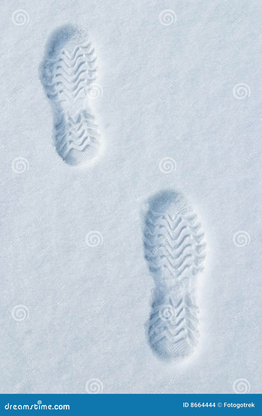 Footsteps in snow stock photo. Image of footprint, snow - 8664444