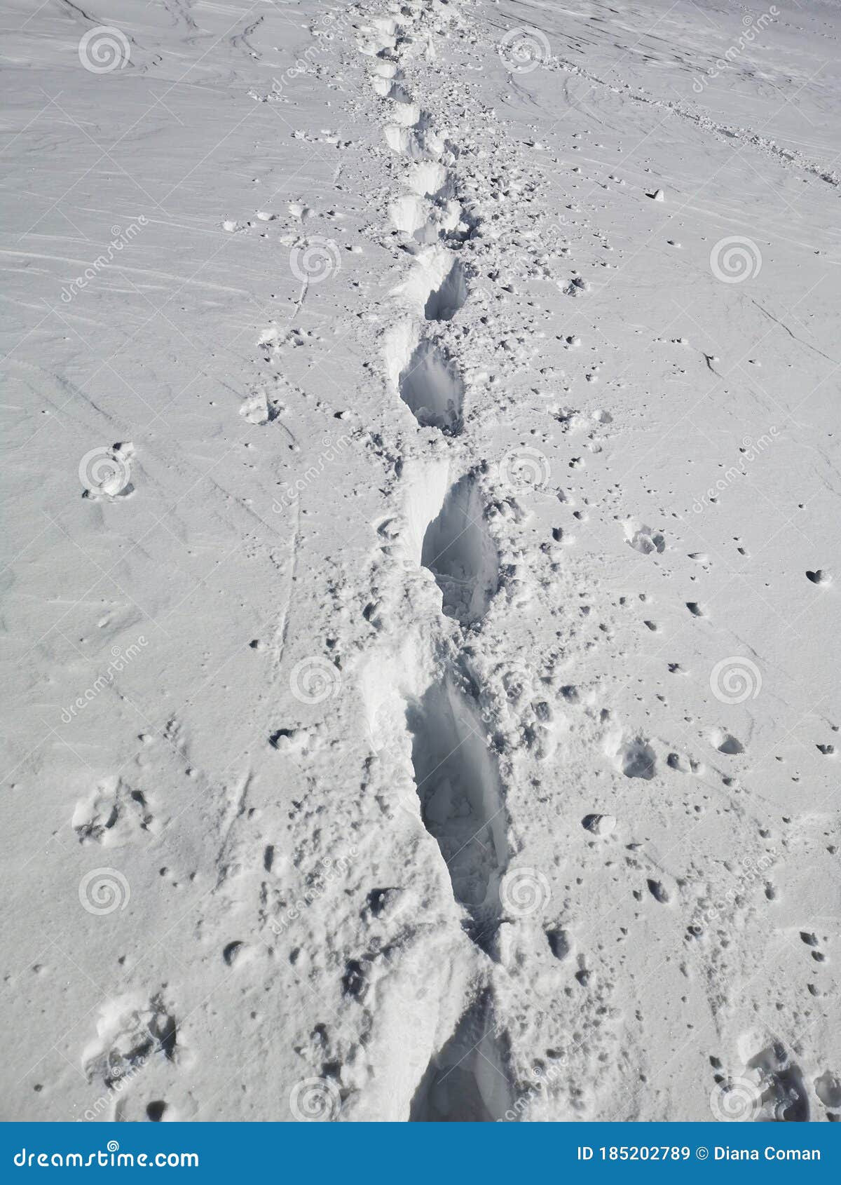Footsteps in the snow stock image. Image of gray, footsteps - 185202789