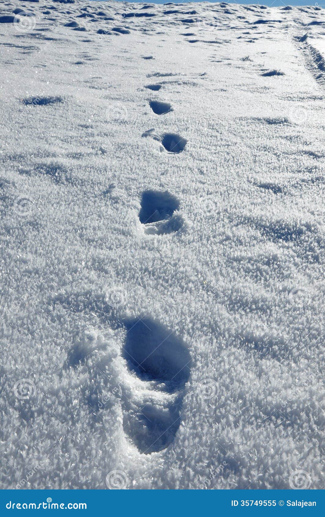 Footsteps in the snow stock image. Image of alpine, nature - 35749555