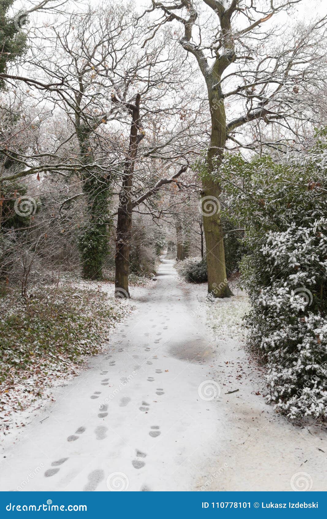 Footsteps On The Path On The Bridge With Green Balustrade Royalty-Free ...