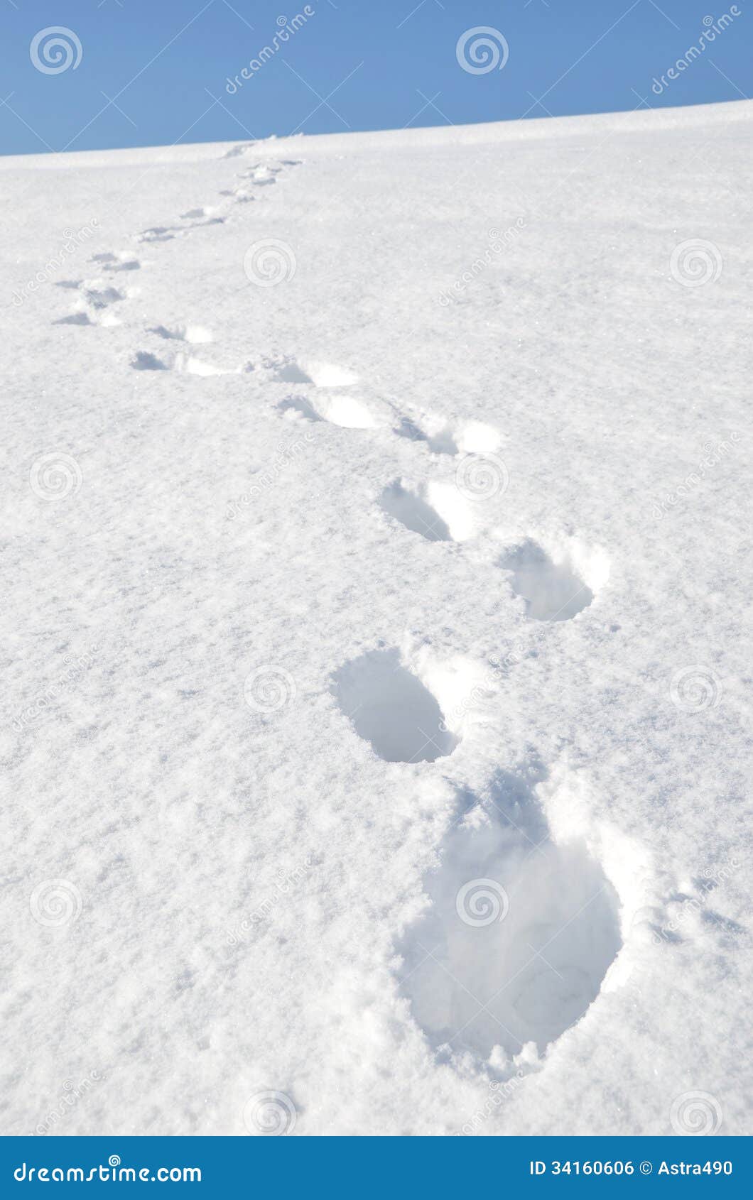 Footsteps on the snow stock photo. Image of step, skiing - 34160606
