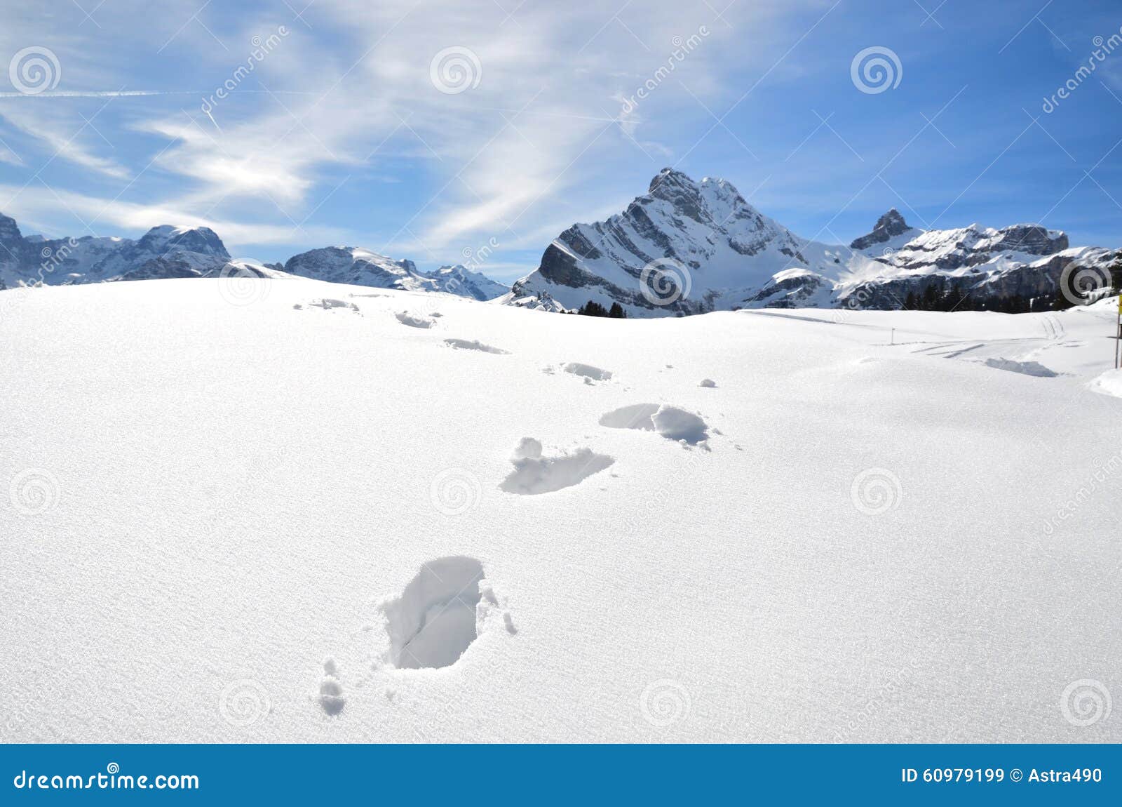 Footsteps on the snow stock image. Image of snowbound - 60979199