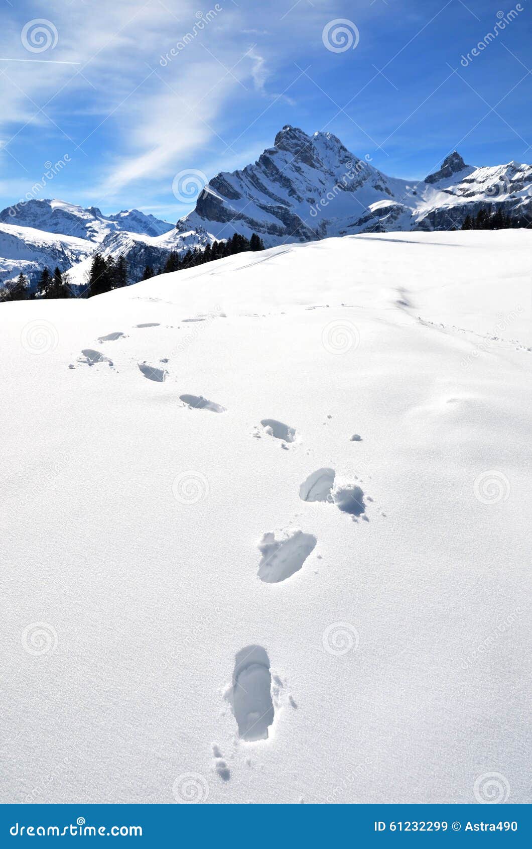 Footsteps on the snow stock image. Image of deep, footstep - 61232299
