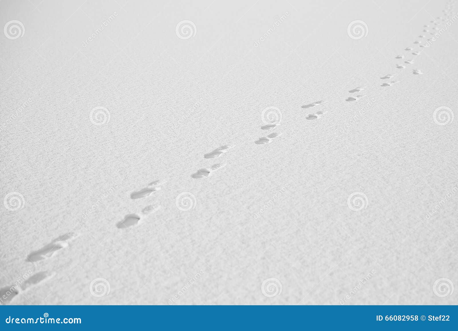 Footsteps in the snow stock photo. Image of diagonal - 66082958