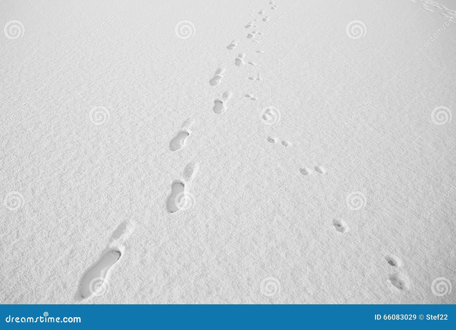 Footsteps in the snow stock image. Image of pattern, frosty - 66083029