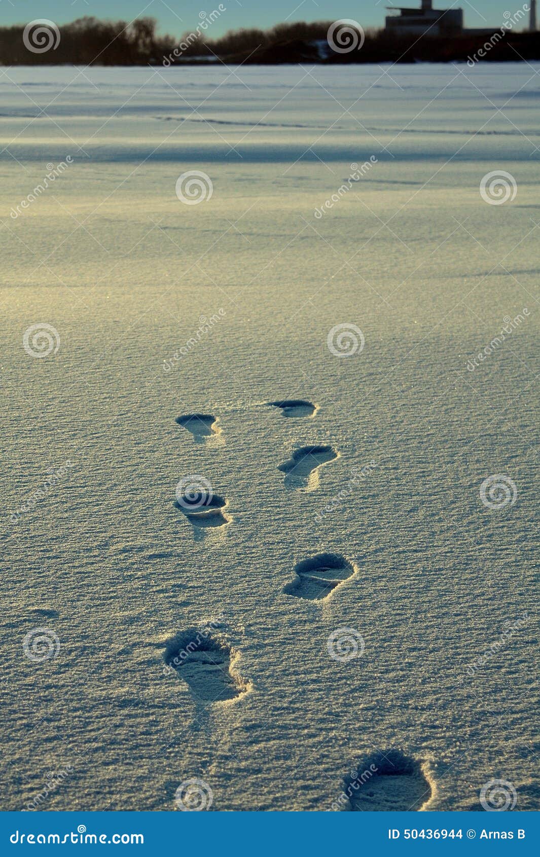 Footsteps Disappearing Snow Stock Photos - Free & Royalty-Free Stock ...