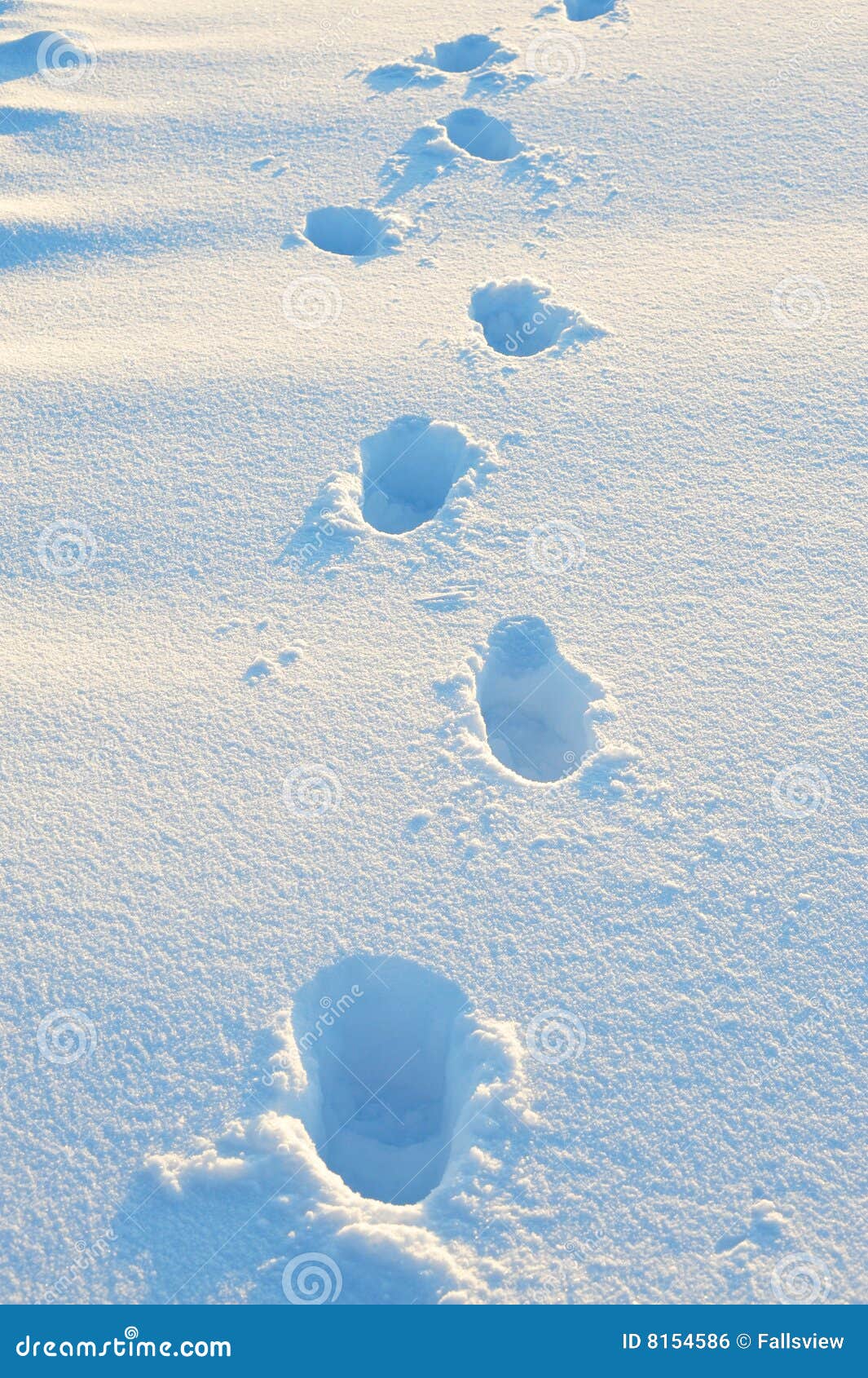 Footsteps in snow field stock photo. Image of fields, snow - 8154586