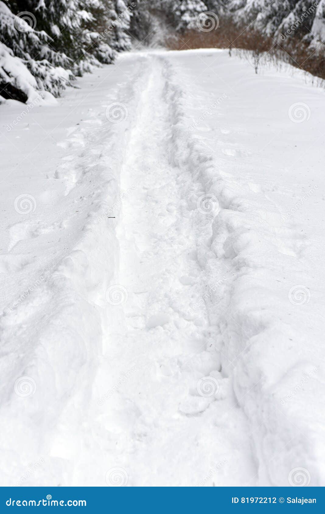 Footsteps in the snow stock photo. Image of christmas - 81972212