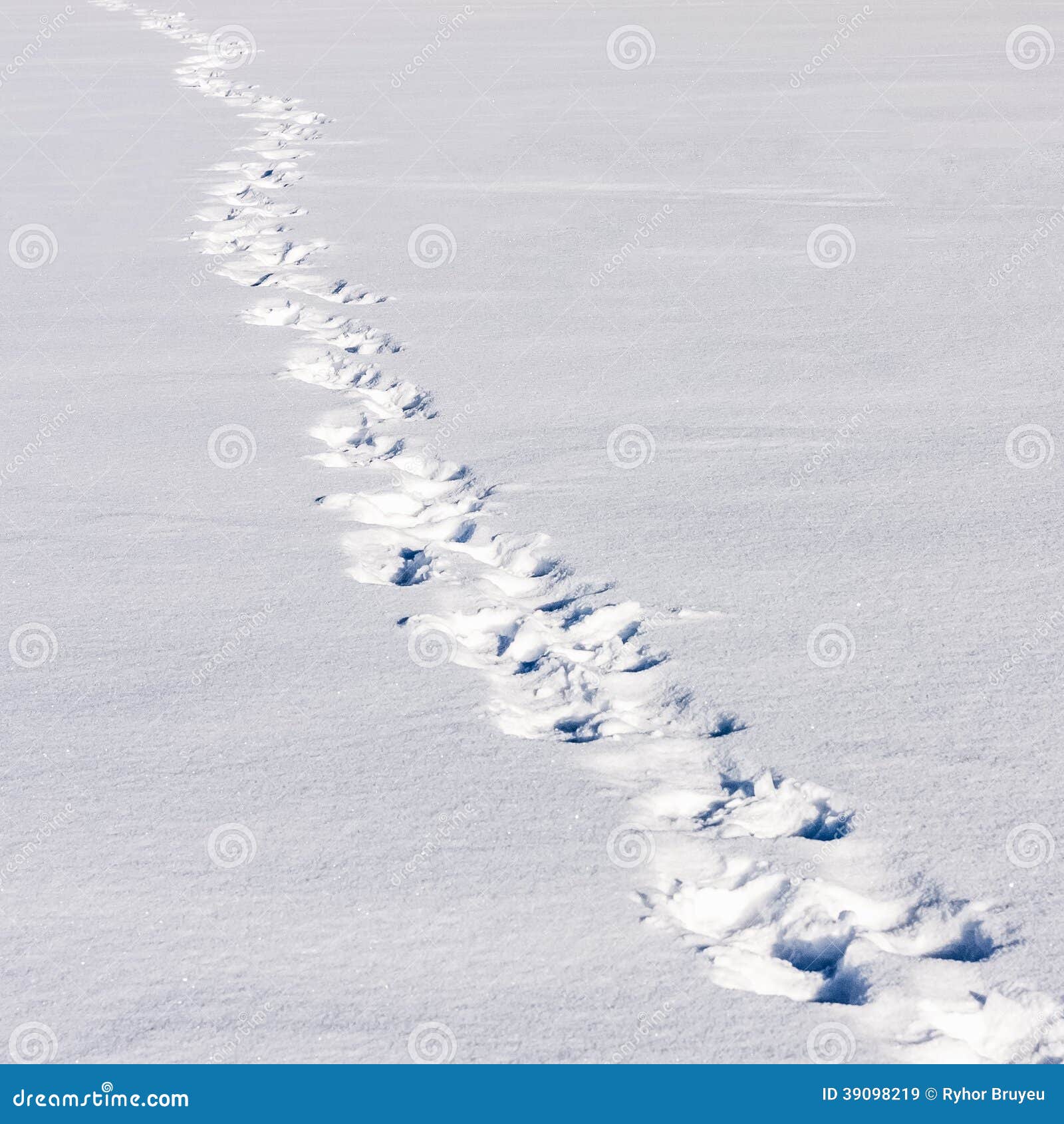 Footsteps on the Snow stock image. Image of footpath - 39098219