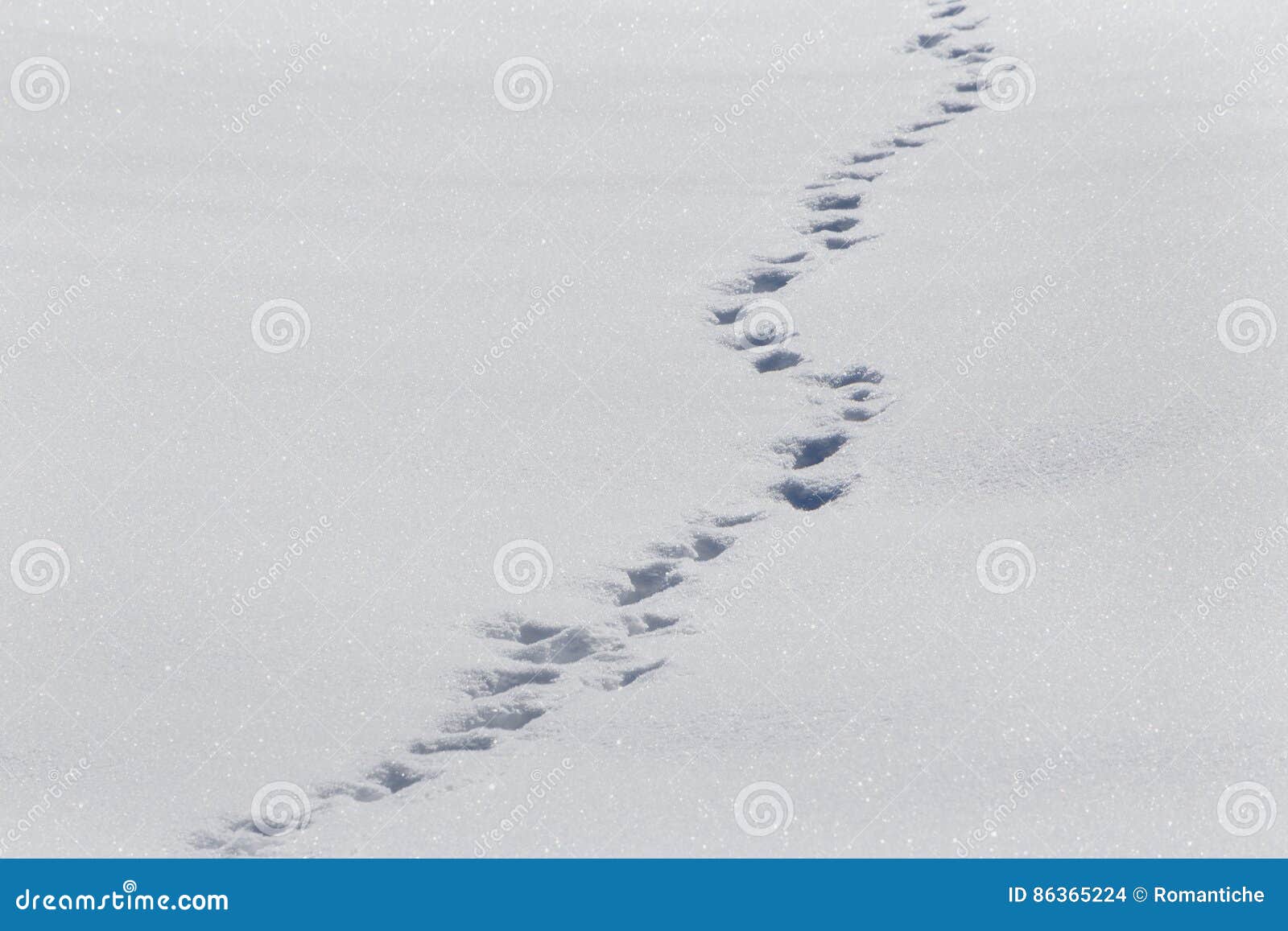 Footsteps on snow stock photo. Image of snowfall, natural - 86365224
