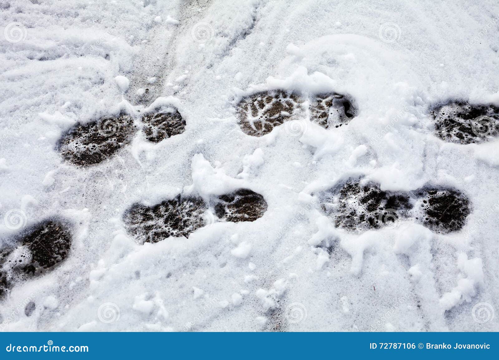 Footsteps in snow stock photo. Image of left, steps, snowy - 72787106