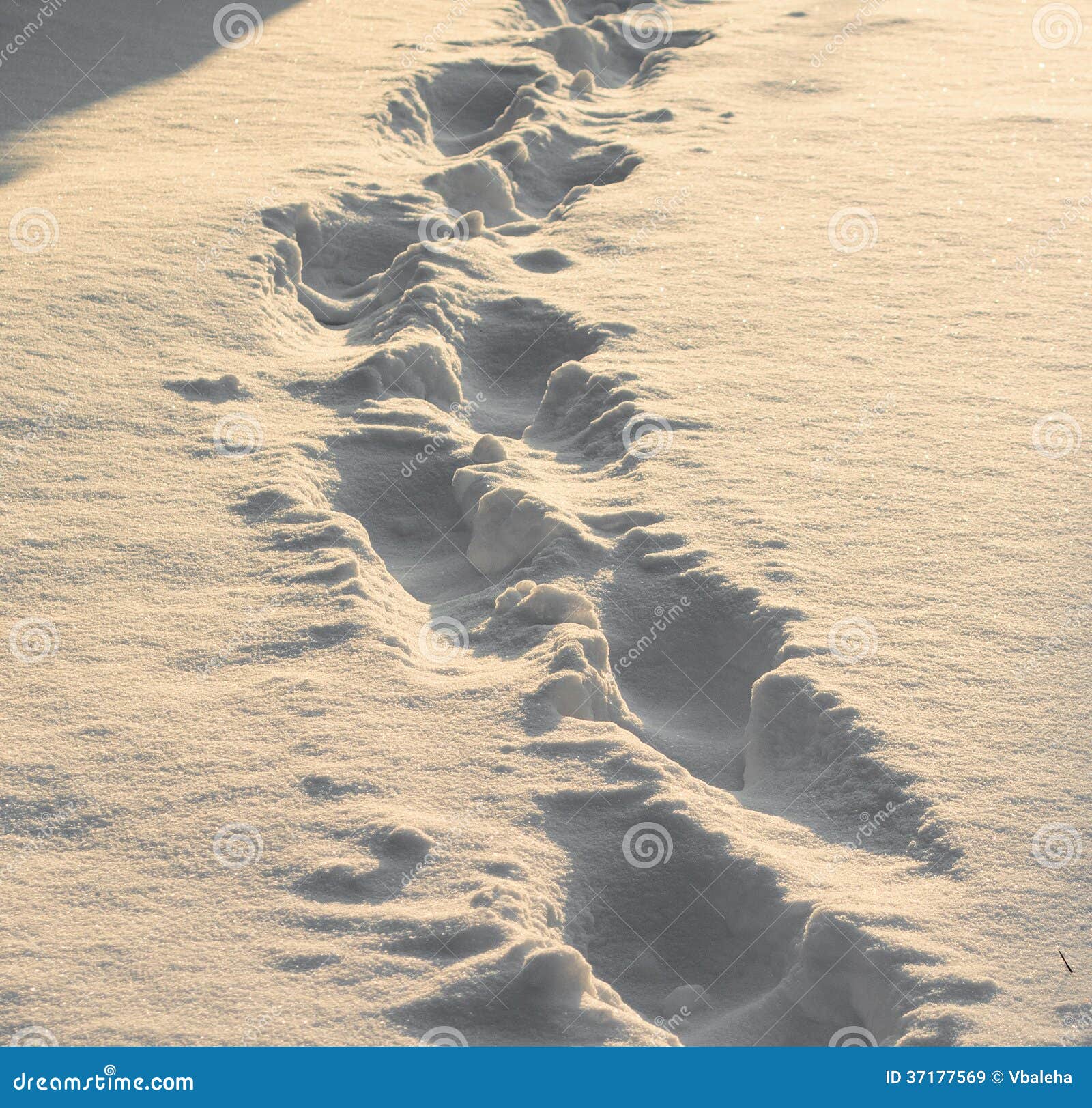 Footsteps stock image. Image of nature, snowbank, mountain - 37177569