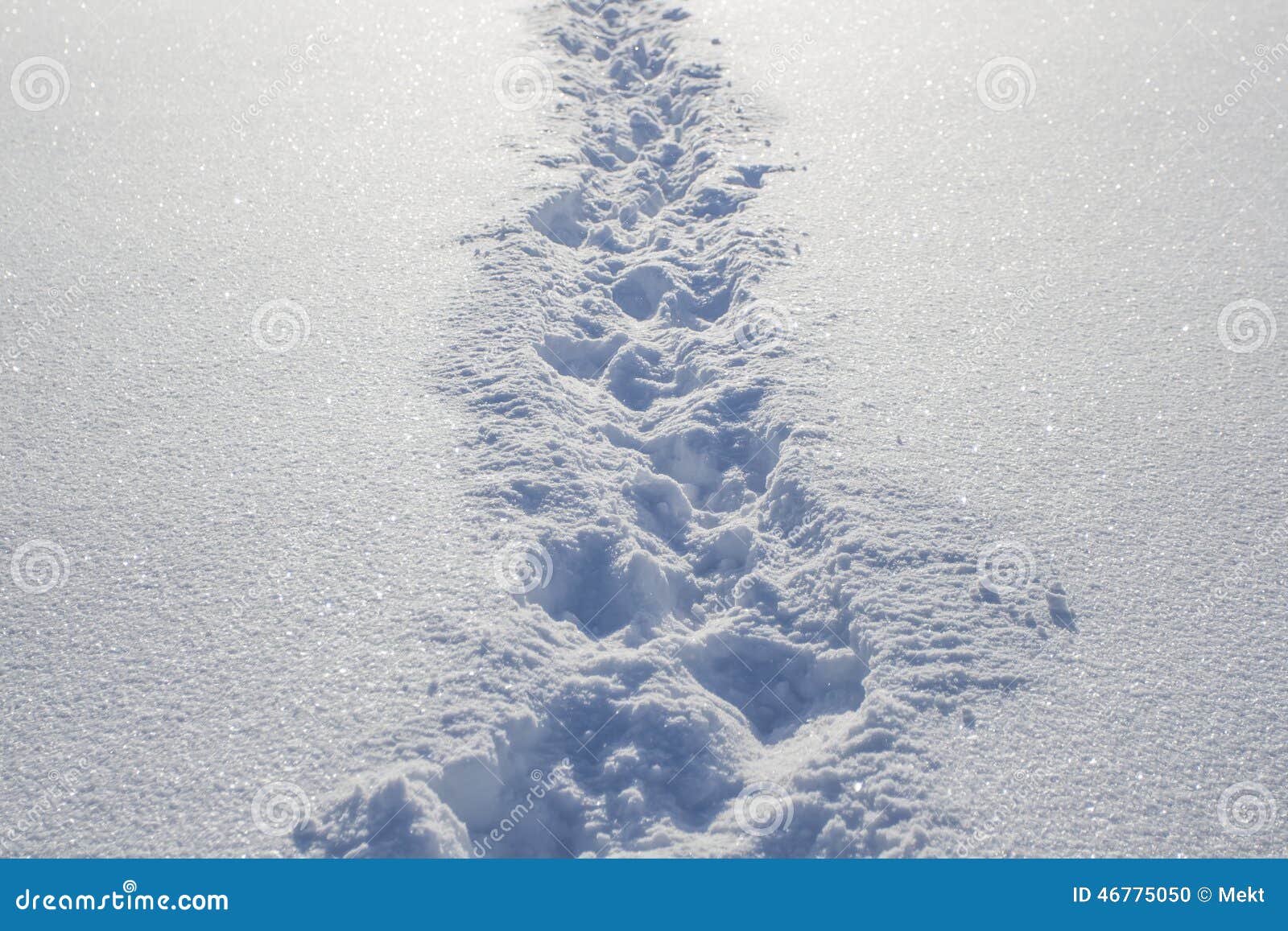 Footsteps stock photo. Image of nature, frontier, recreation - 46775050