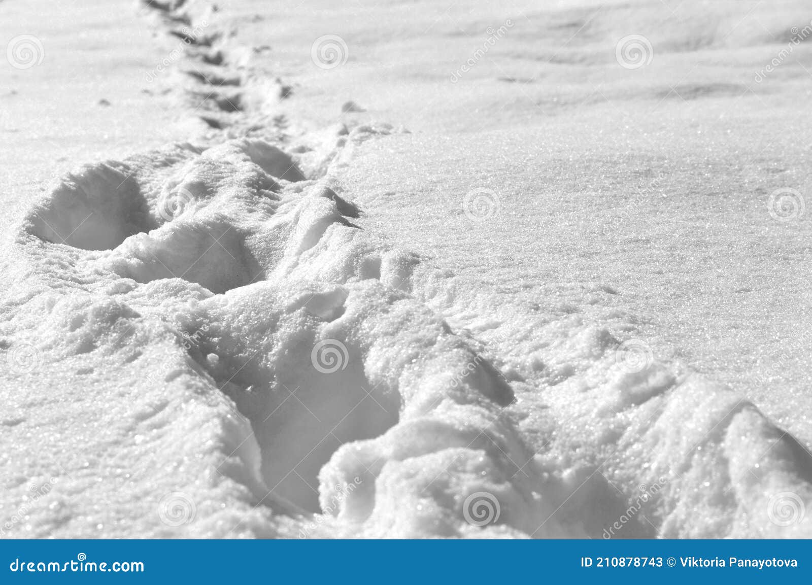 Footsteps in the snow stock image. Image of white, winter - 210878743