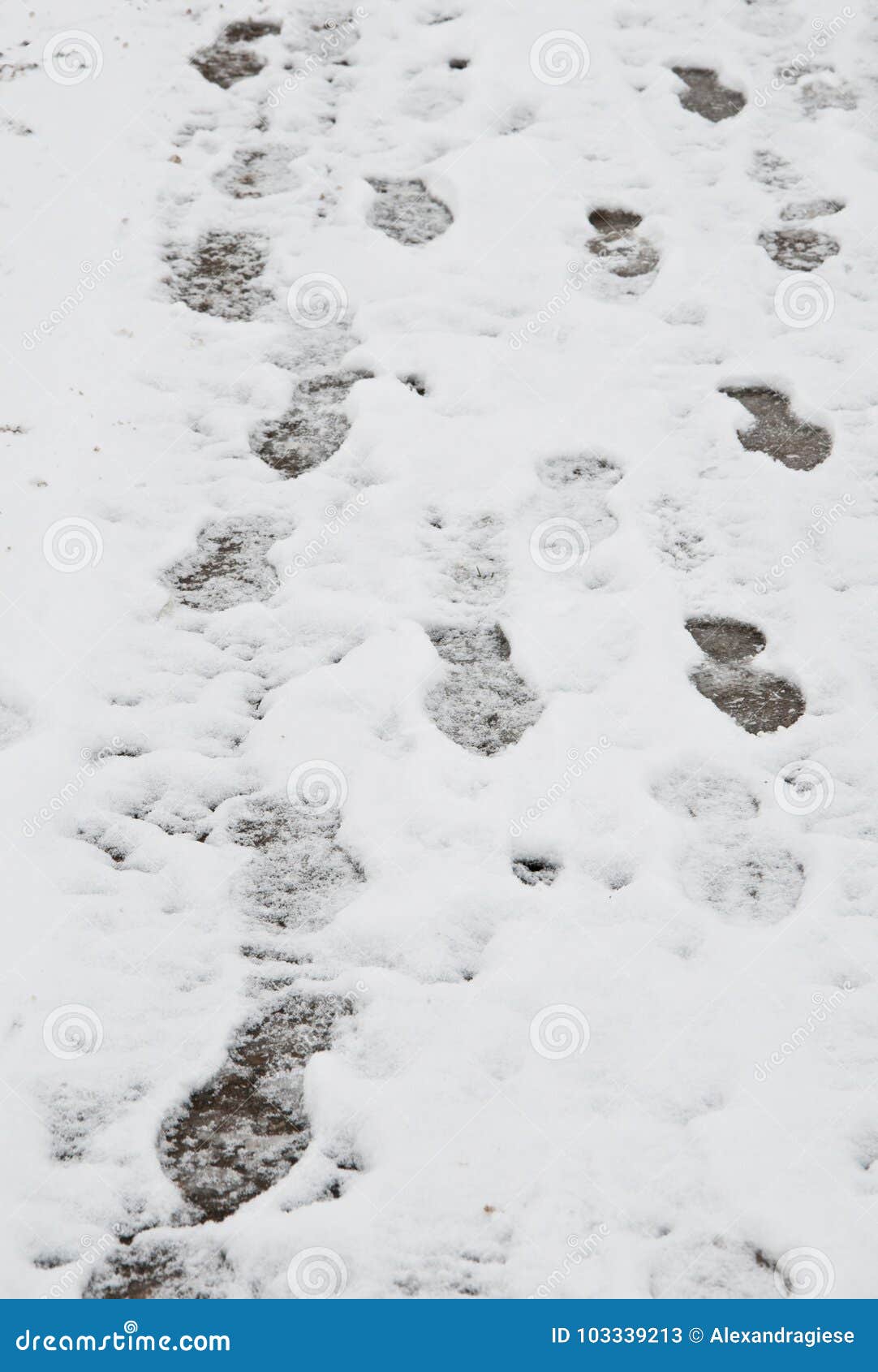 Footsteps in the snow stock image. Image of pedestrian - 103339213