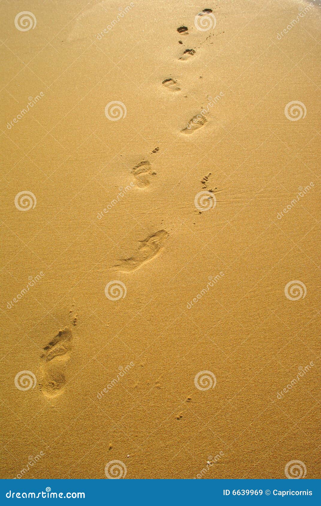 918 Brown Footsteps Photos - Free & Royalty-Free Stock Photos from ...