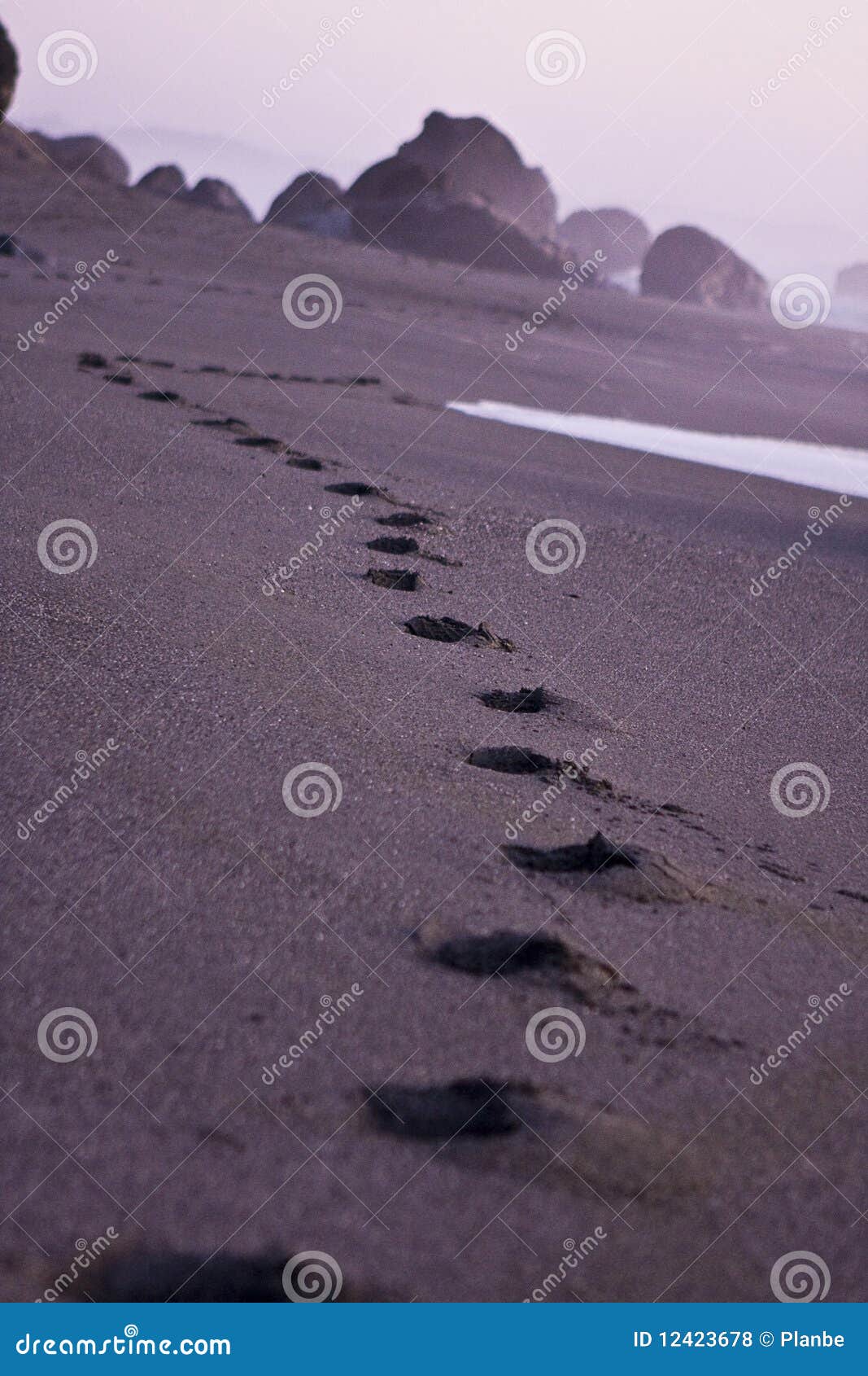 Footsteps tilt sea shore stock photo. Image of shore - 12423678