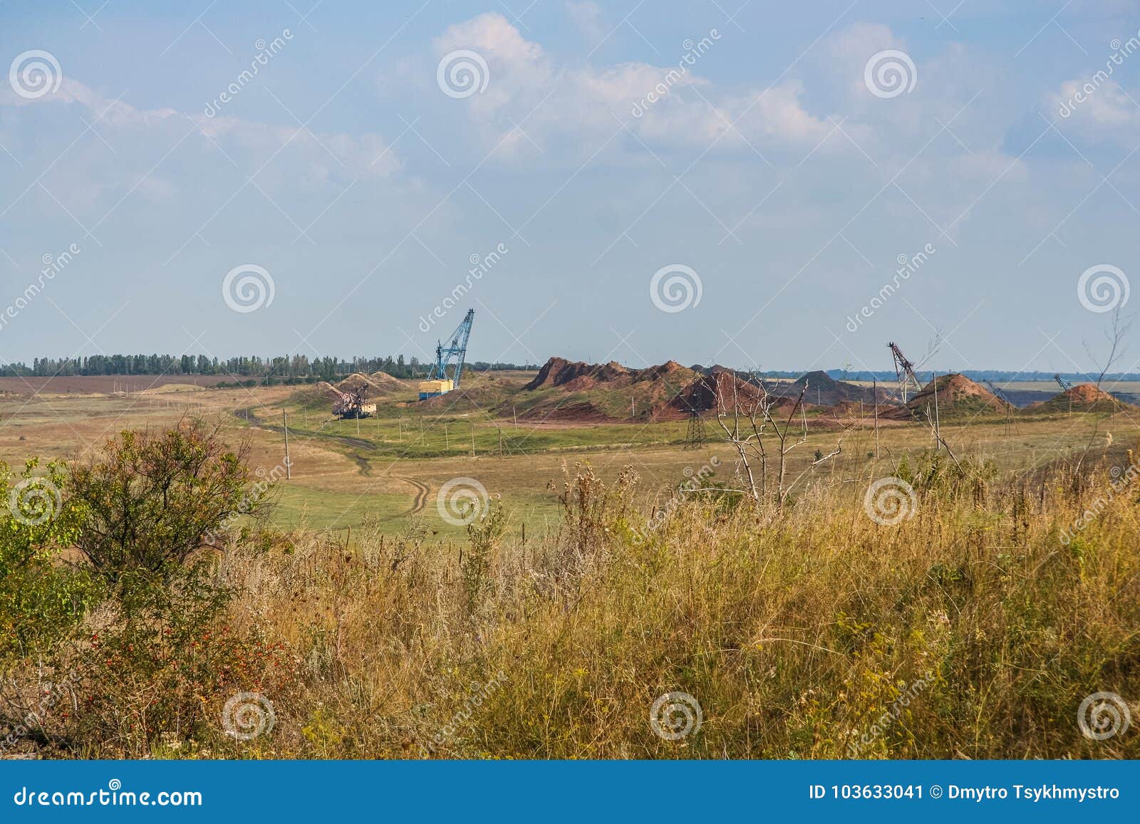 Forêt De Protection De Champ Dans La Steppe Ukrainienne Image stock ...