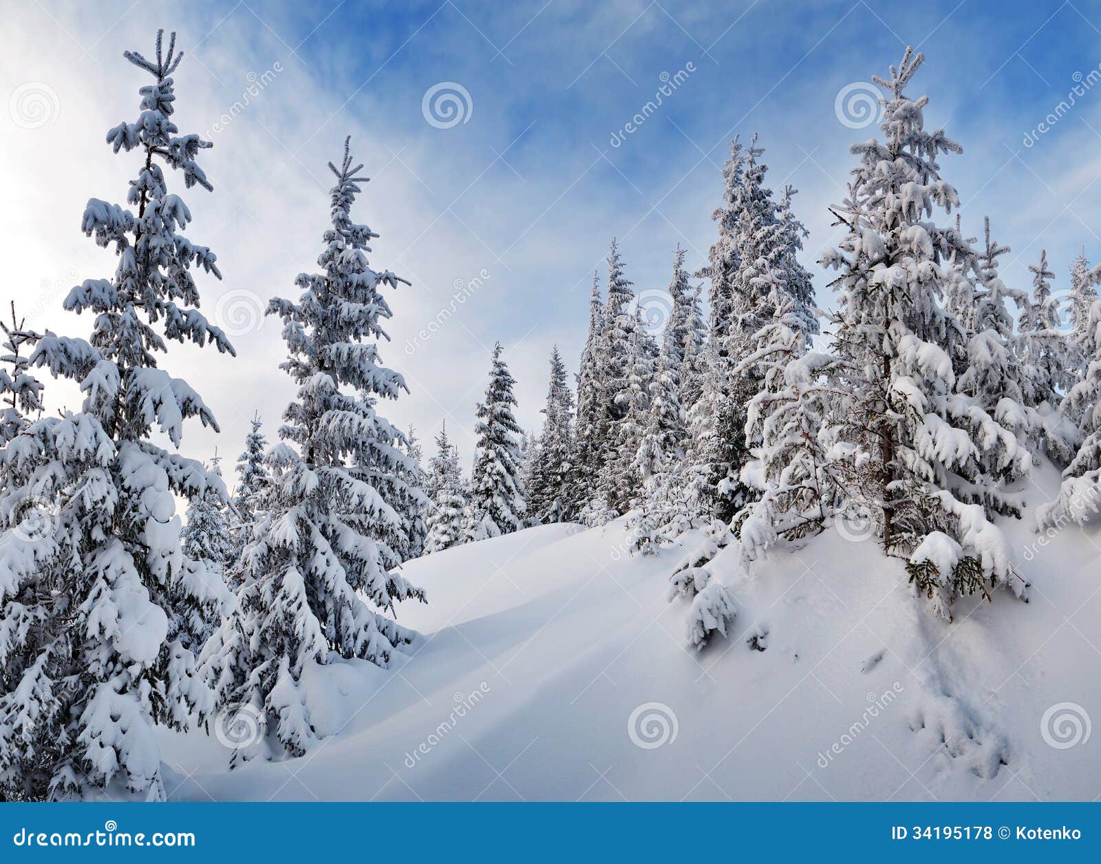 Forêt De Sapin Sous La Neige Photo stock - Image du congelé, ciel: 34195178