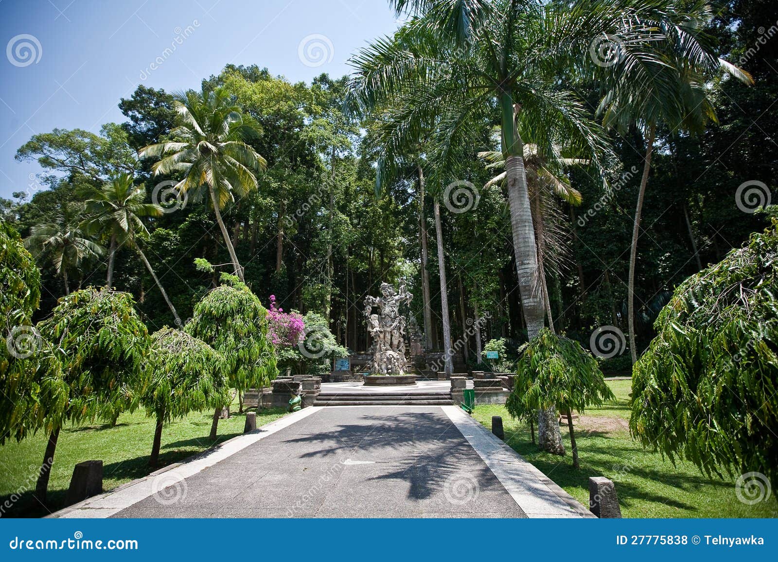 Forêt De Singe Dans Bali (Sangeh) Photo stock - Image du abstrait ...