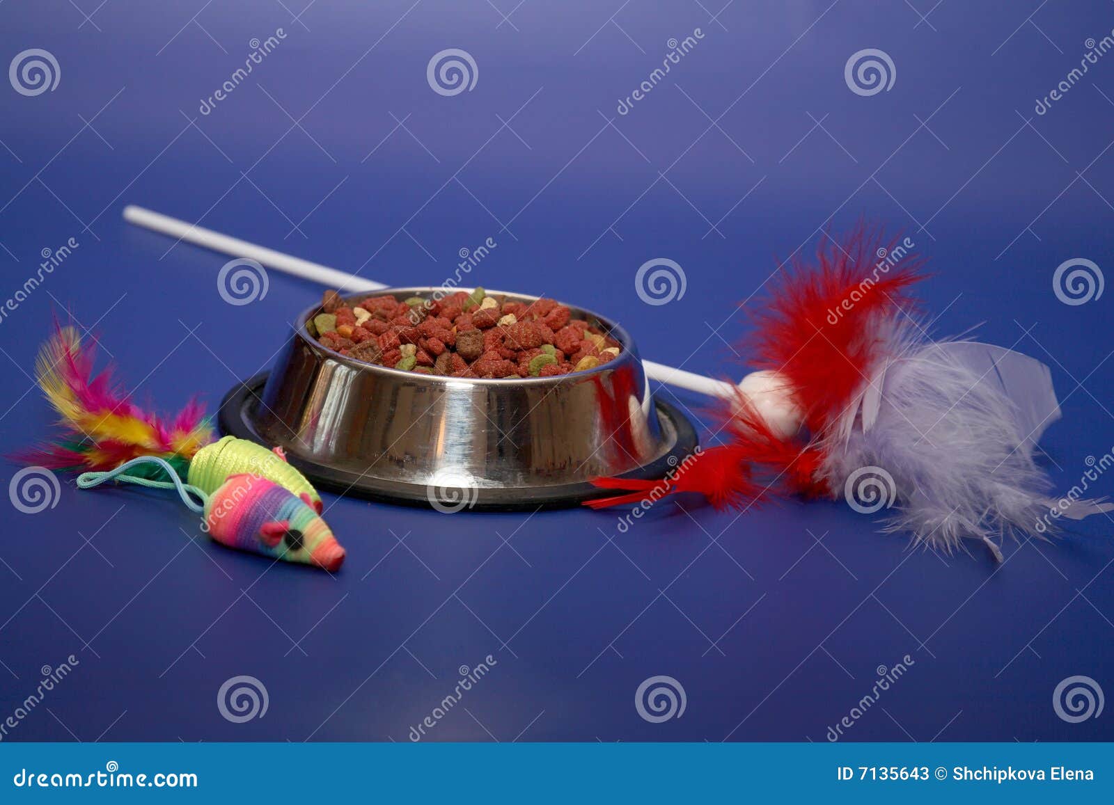 Forage for cats stock image. Image of blue, vitamins, forage - 7135643