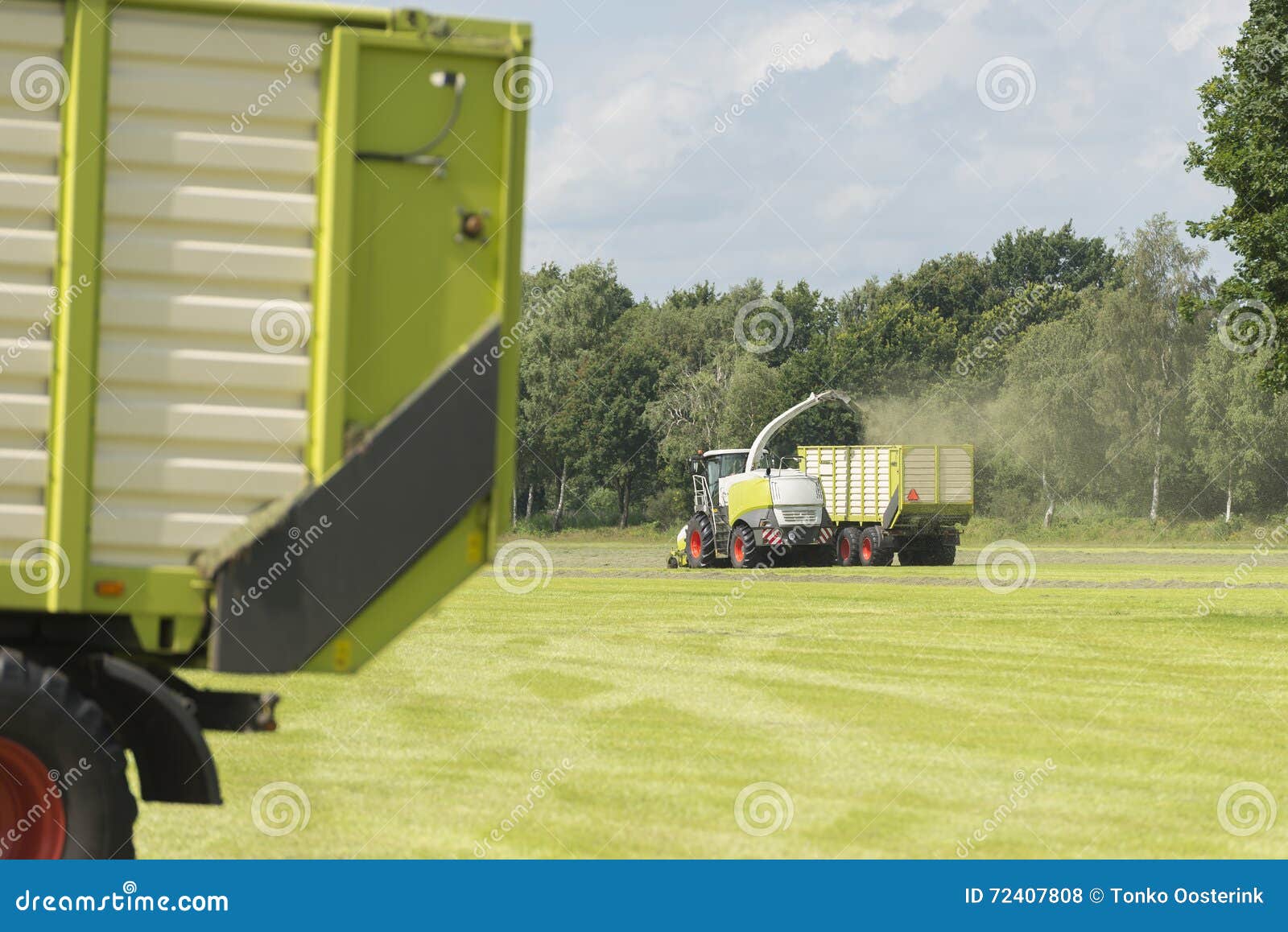 Forage Harvester and Transport of Grass with Tractor and a Loader Wagon ...