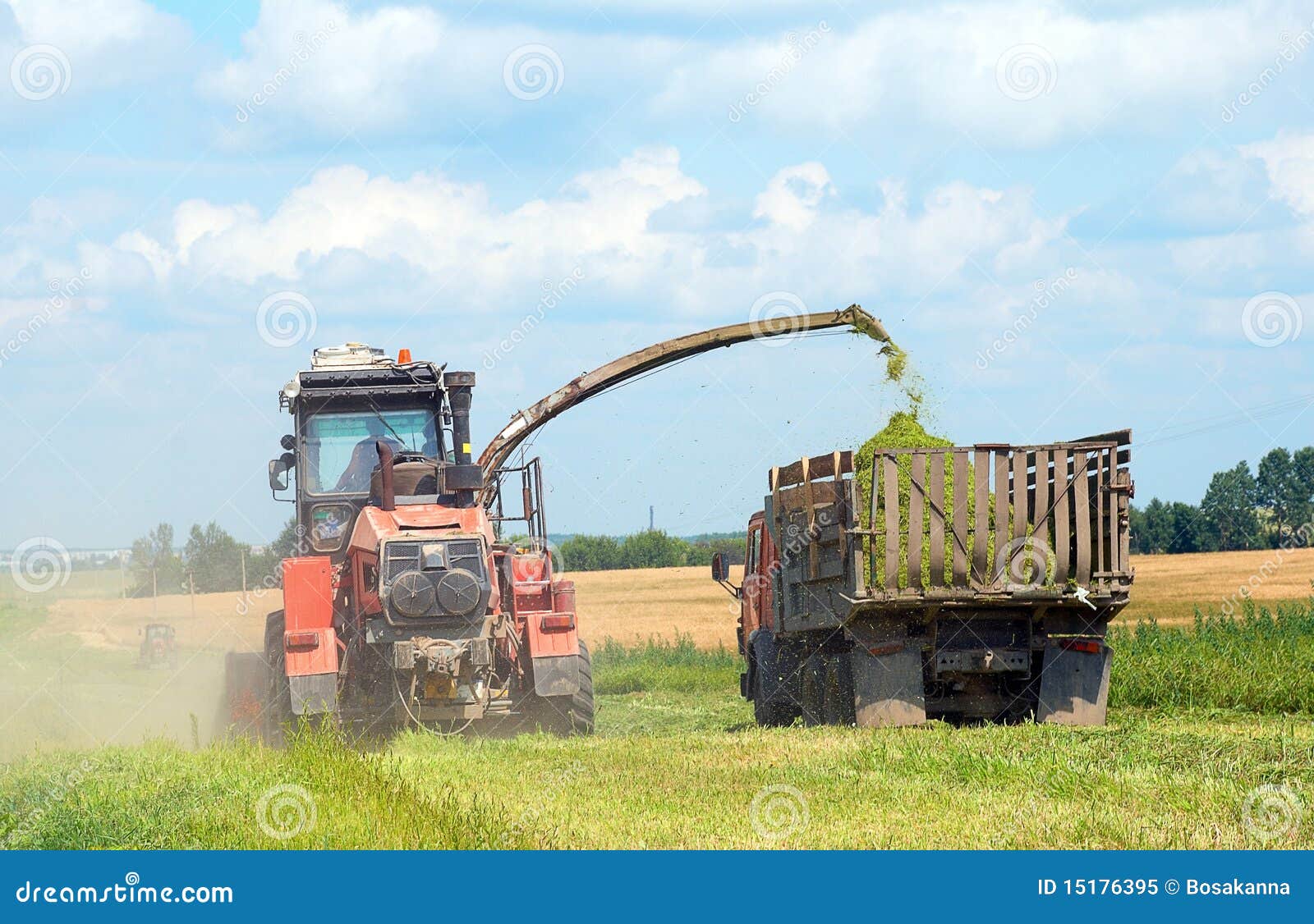 Forage plants harvesting stock image. Image of clouds - 15176395