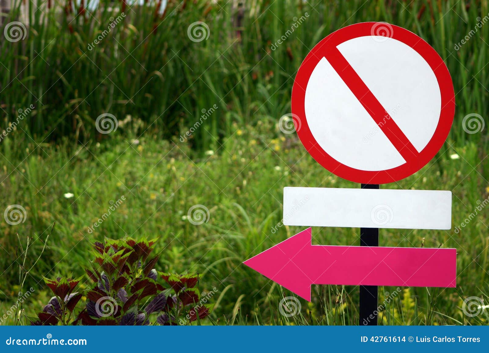 Forbidden stock photo. Image of sign, right, warnings - 42761614