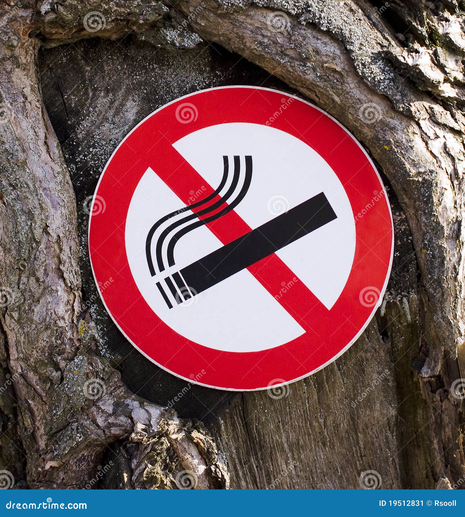 It is Forbidden To Smoke a Sign Stock Image - Image of risk, habit ...