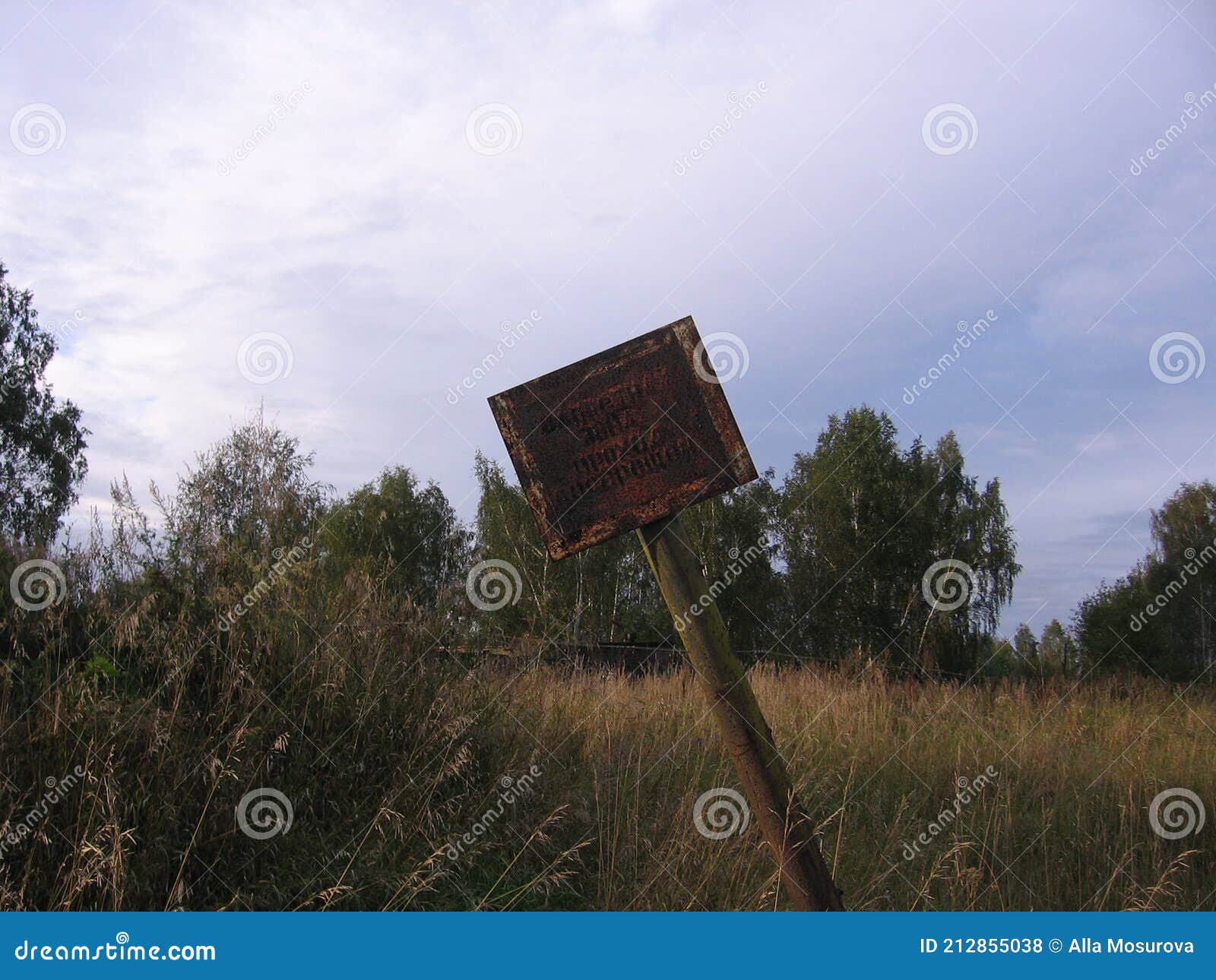 Forbidding Sign Stop Sign Passage is Prohibited in a Field with Grass ...