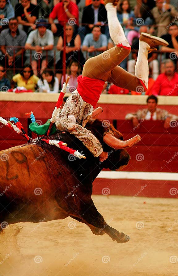 Forcado editorial photo. Image of crazyness, forcado - 17411931