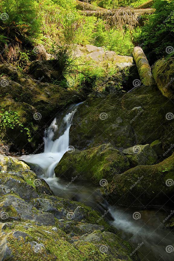Force of nature stock image. Image of rainforest, landscape - 942623