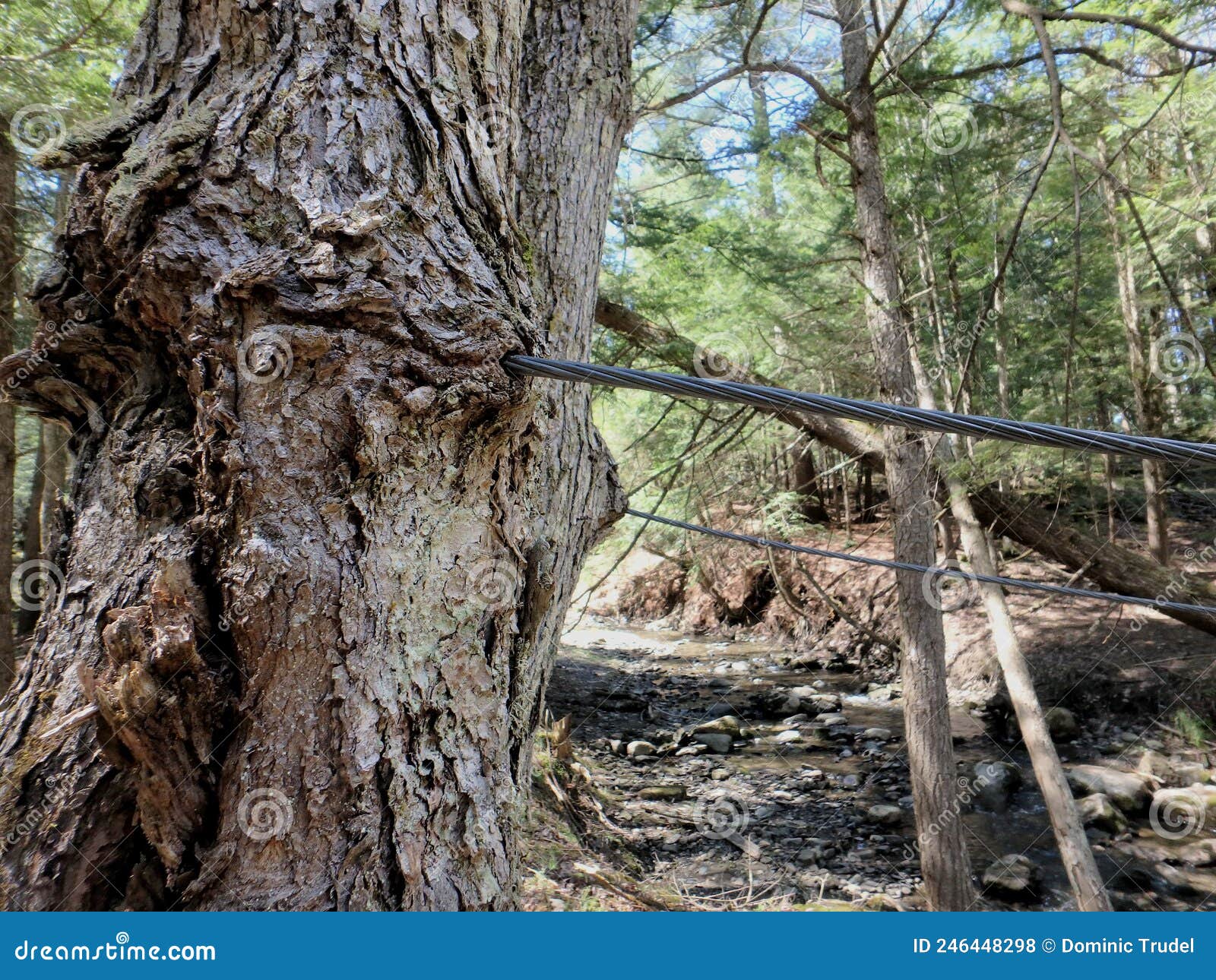 Damaged Wire Rope Stock Photos - Free & Royalty-Free Stock Photos from ...