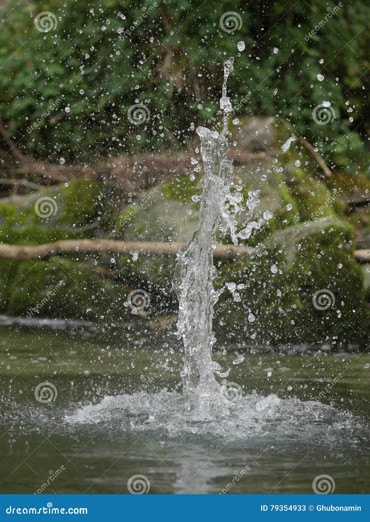 Force of water nature. stock image. Image of basin, lake - 79354933