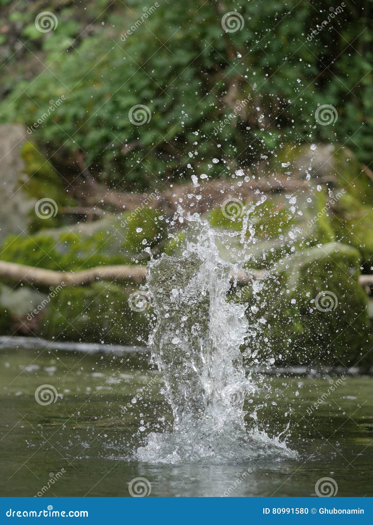 Force of water nature. stock photo. Image of outdoors - 80991580