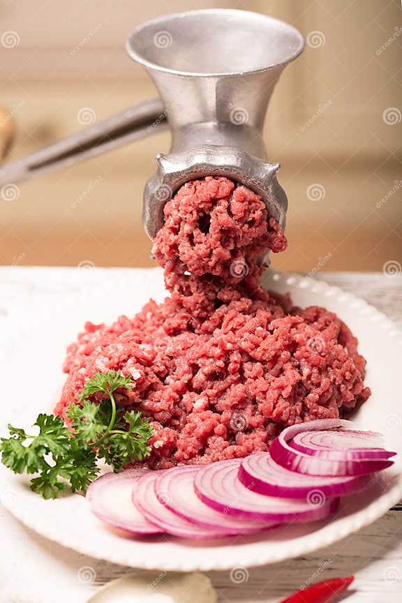 Forcemeat and vegetables stock photo. Image of mincemeat - 56411262