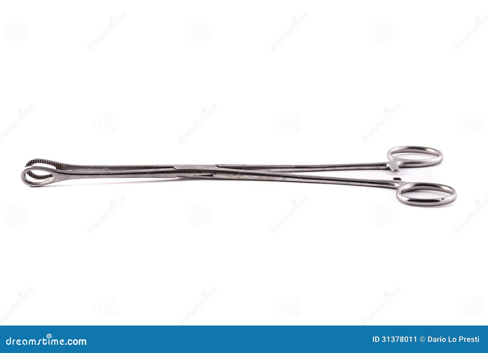 Forceps stock image. Image of background, object, pinch - 31378011