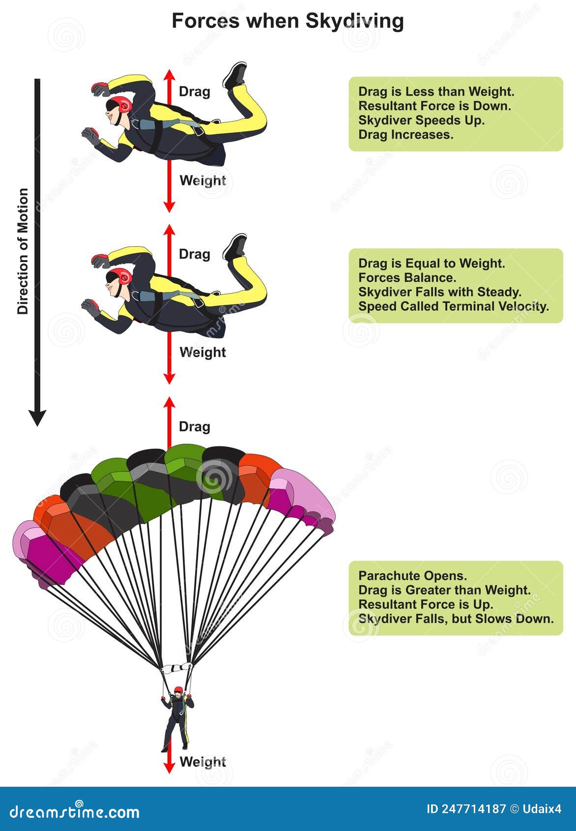 Terminal Velocity Vector Illustration. Labeled Falling Speed ... Terminal Velocity Vector Illustration. Labeled Falling Speed ...