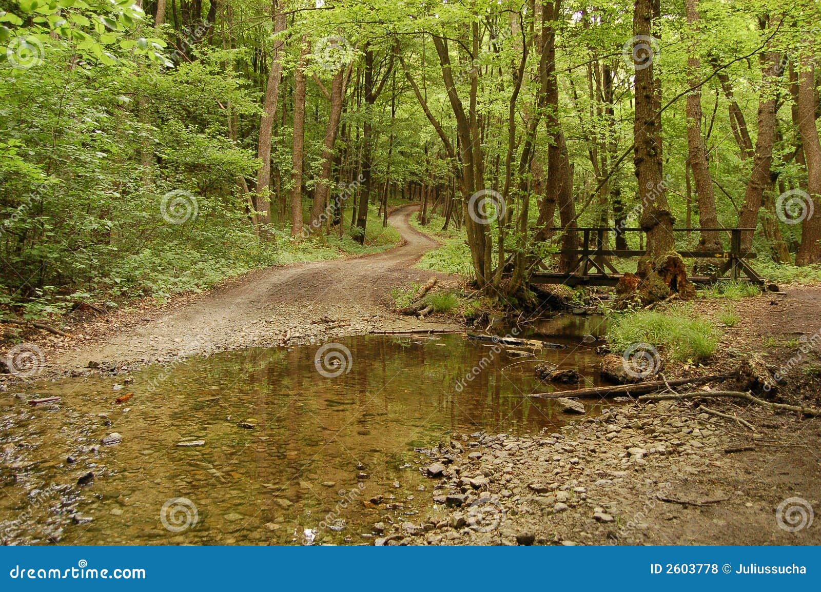 Ford And Bridge Picture. Image: 2603778