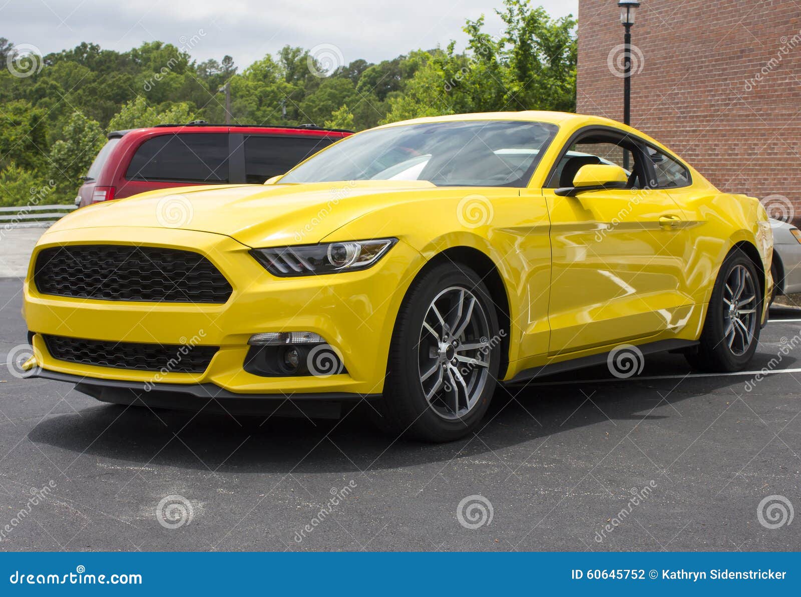 2015 Ford Mustang Coupe stock photo. Image of ford, side - 60645752