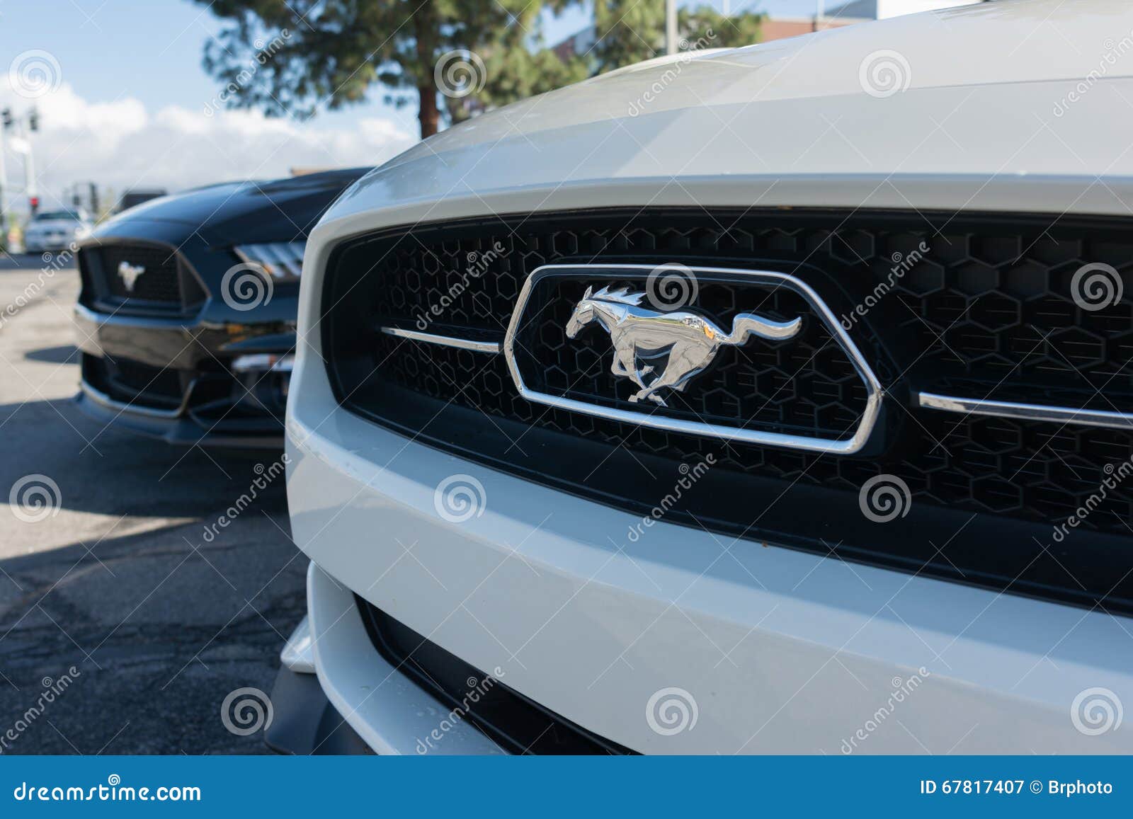 Ford Mustang Pony Emblem fotografia editorial. Imagem de internacional ...