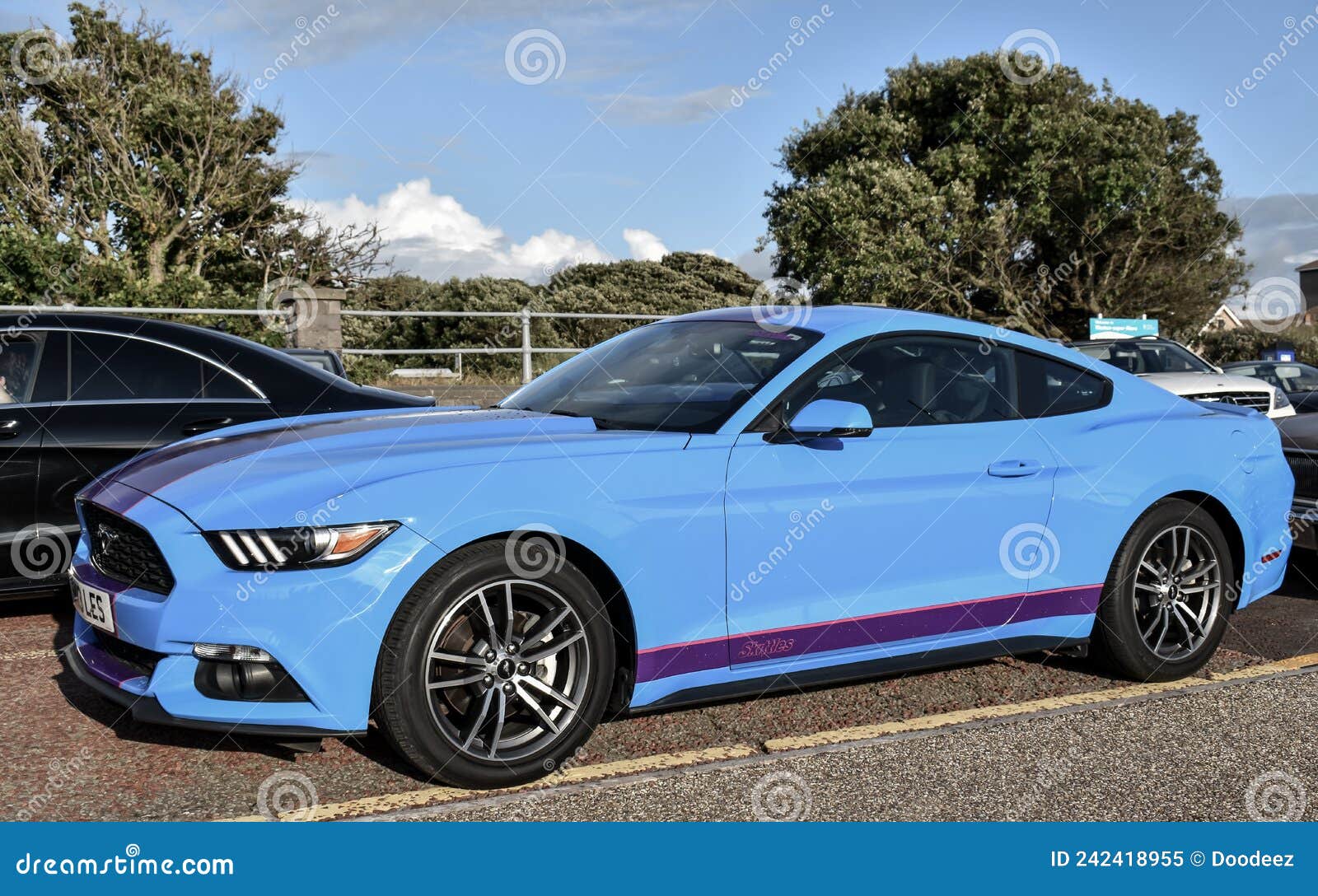 Light Blue Mustang