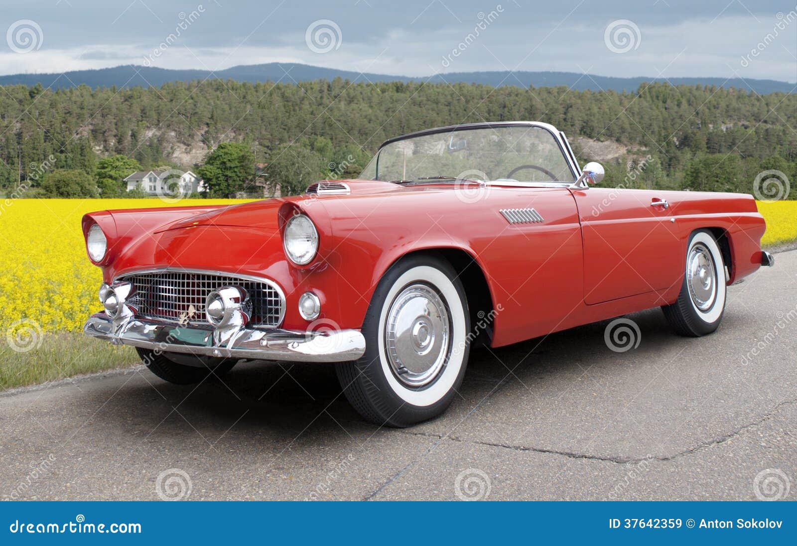 Ford Thunderbird stock image. Image of status, clipping - 37642359