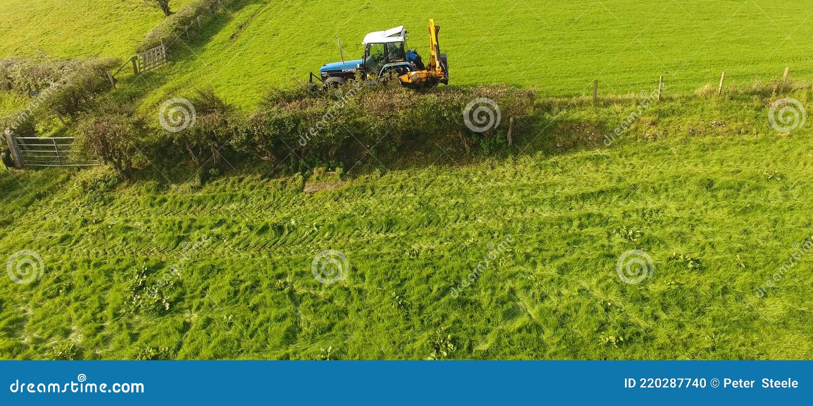 Tractor Cutting And Swathing Alfalfa Royalty-Free Stock Image ...