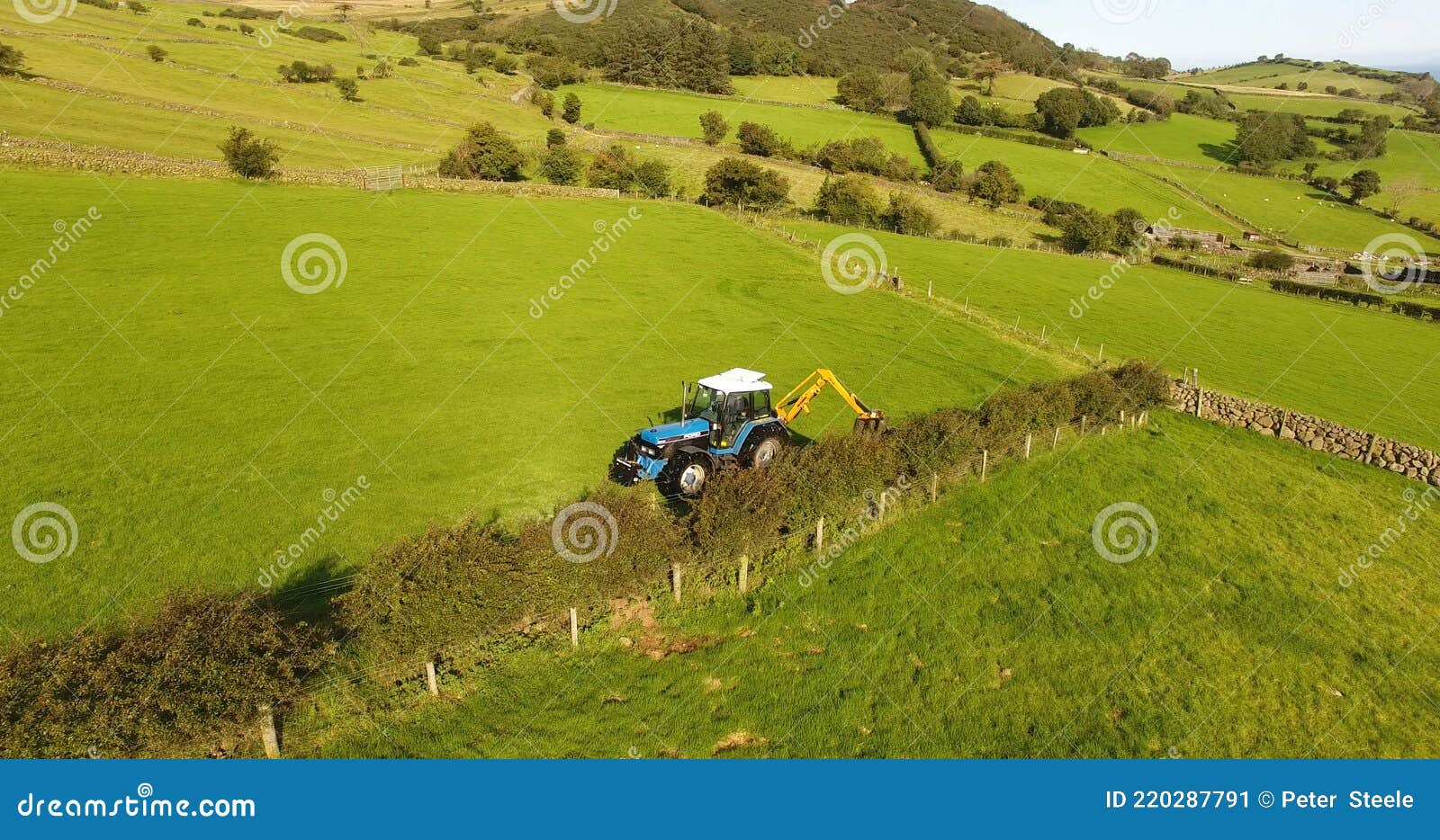 Tractor Cutting And Swathing Alfalfa Royalty-Free Stock Image ...