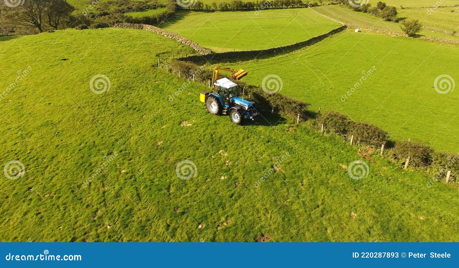 Tractor Cutting And Swathing Alfalfa Royalty-Free Stock Image ...