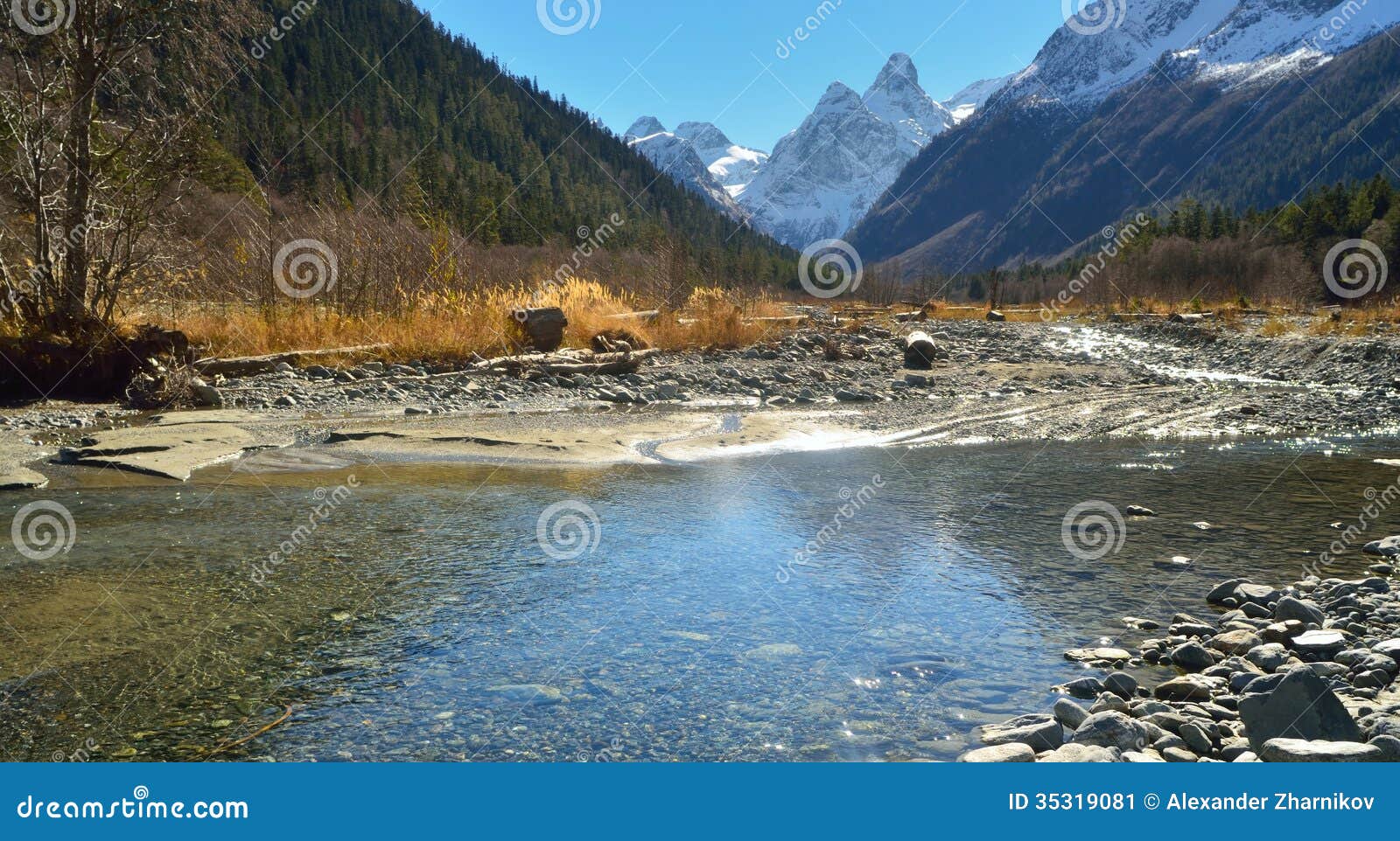 Ford stock image. Image of nature, fall, branch, bank - 35319081